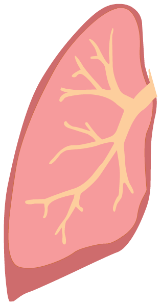 One Lung Clipart